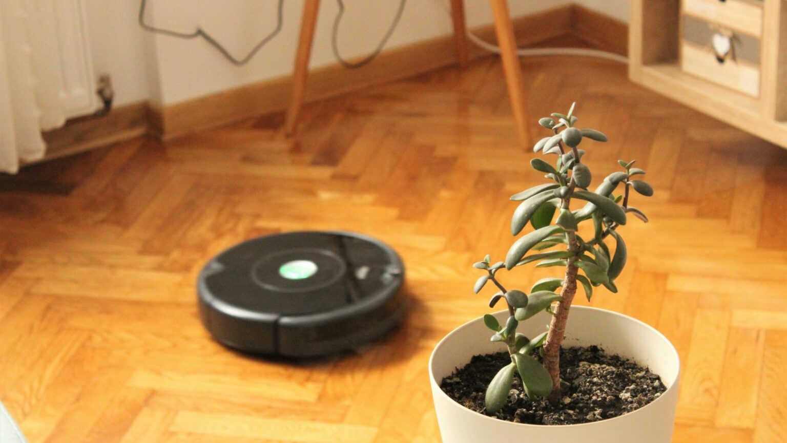 Theories on What is Vacuum Decay - Living Pristine