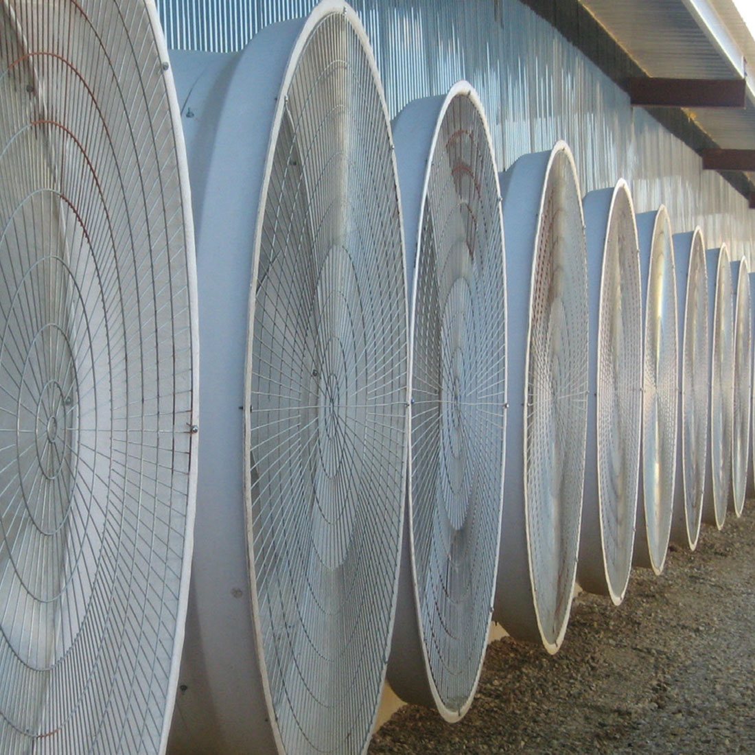 Barn Ventilation Tips: Using Fans and Waterers to Boost Animal Health ...